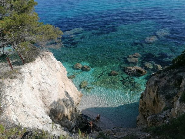 L'Isola d'Elba verso la neutralità climatica progetto pilota verso la ...